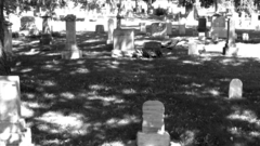 Rotting Human - Screamer Wiki