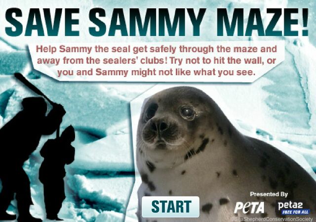 Save Sammy Maze - Screamer Wiki