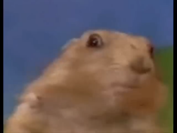 Scary Maze Pop Up - Screamer Wiki