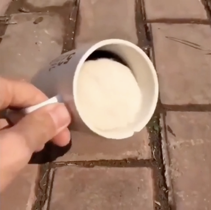 This Cup Of Coffee Doesn T Spill Screamer Wiki