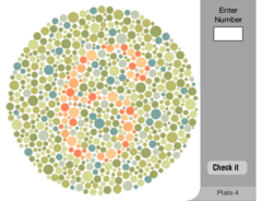 Color Vision Deficiency Test - Screamer Wiki
