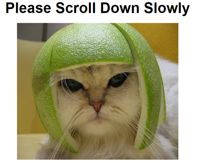 Scroll Below - Screamer Wiki