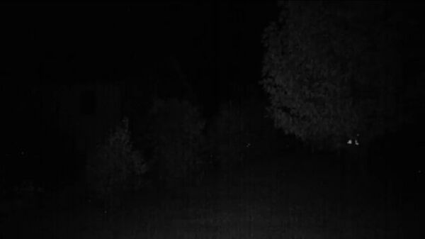 DEMON CAUGHT ON TAPE! - Screamer Wiki