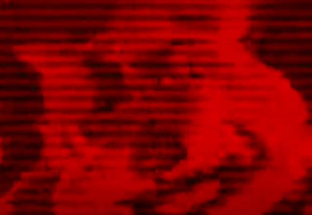 Tanner.wmv - Screamer Wiki
