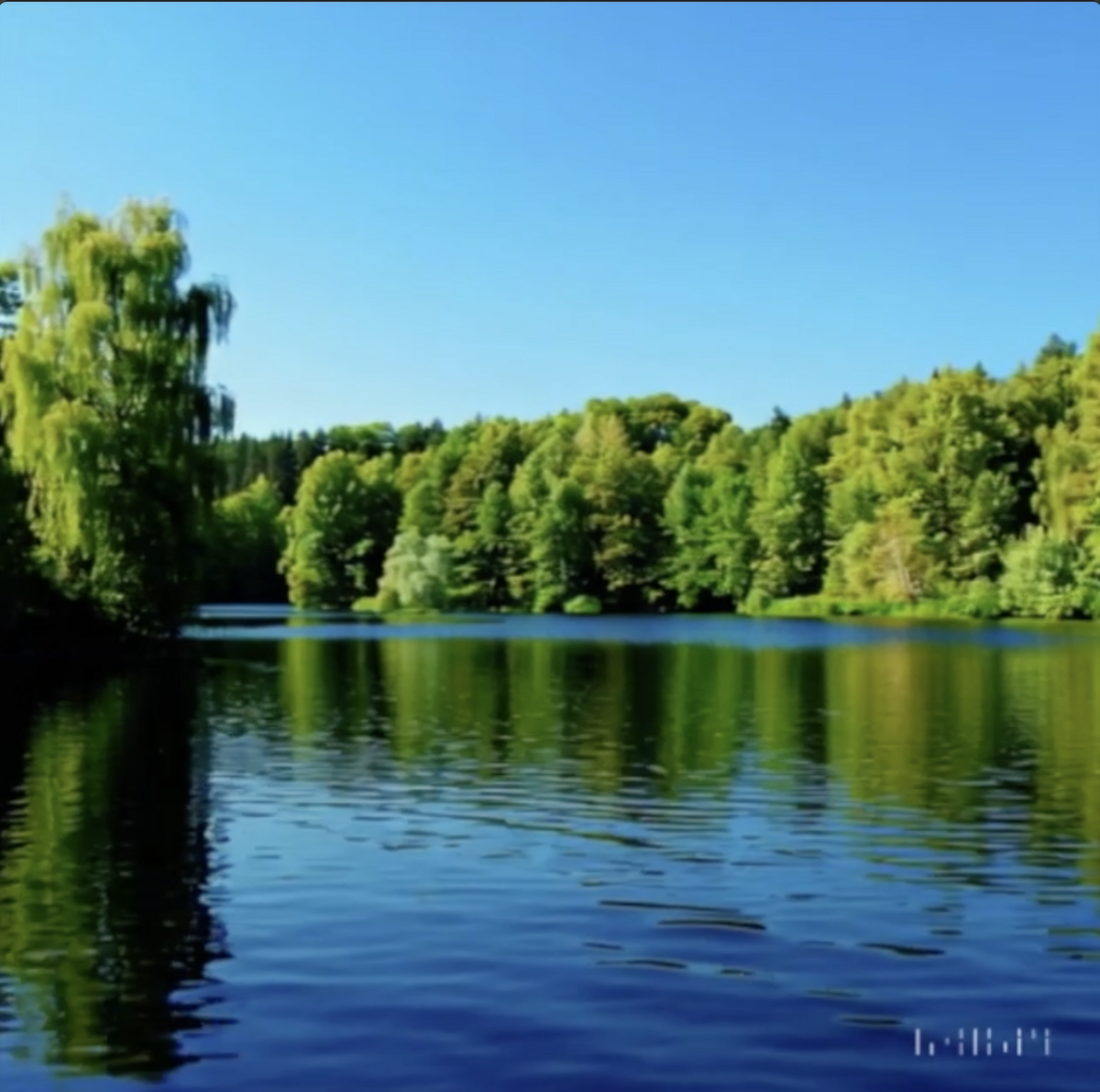 File:AILake.png - Screamer Wiki