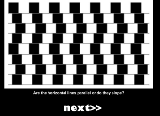 Optical Illusions - Screamer Wiki
