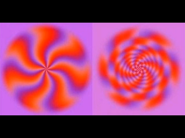 My Exposure of Illusions - Screamer Wiki