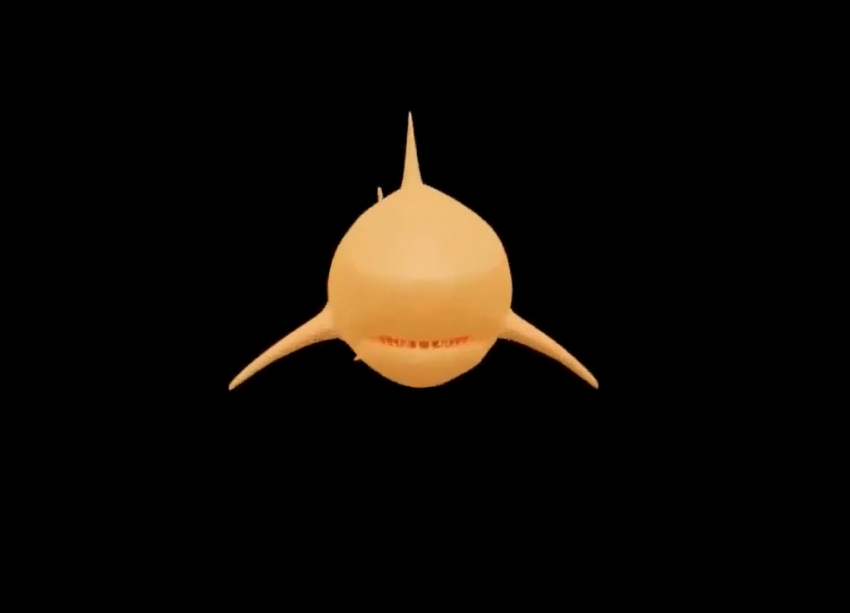 Nickelodeon Shark of Doom - Screamer Wiki