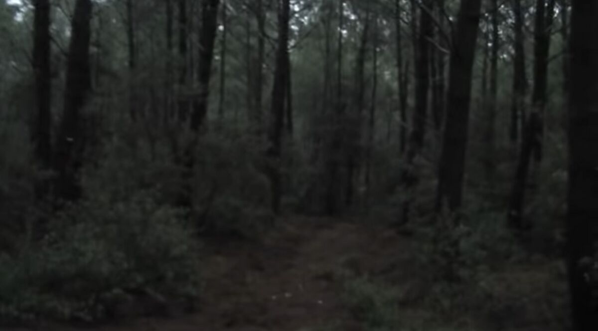 Scariest Alien Video Ever (18+) - Screamer Wiki