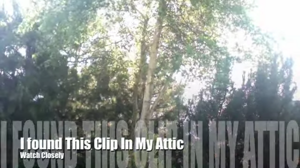 Look At The Tree - Screamer Wiki