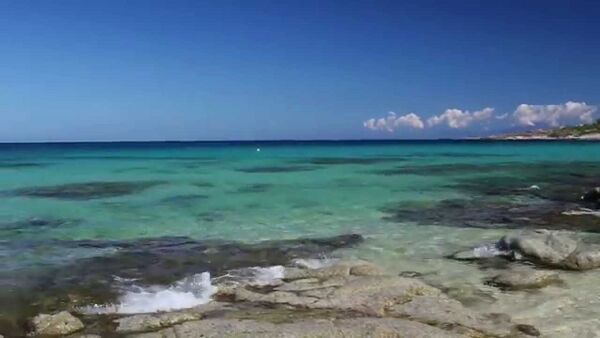 Scary pop up !!! - Screamer Wiki