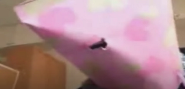 File:Rorochan 1999.png - Screamer Wiki