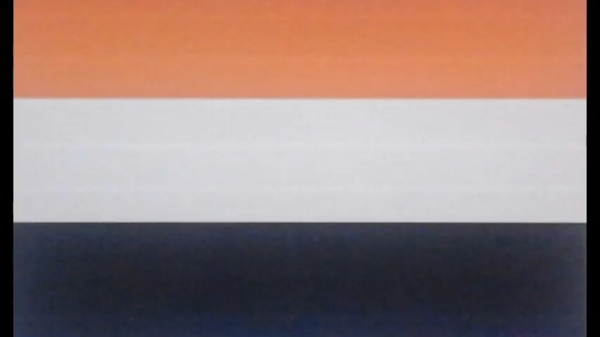 Estonia flag optical illusion - Screamer Wiki